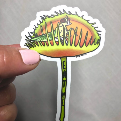 Venus Fly Trap - Etsy