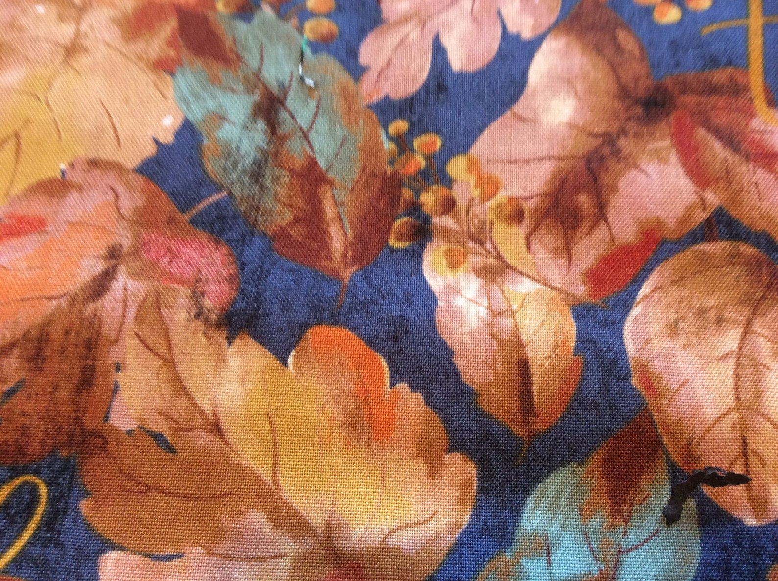 Thankful Blue by Brother Sister Design Studio/quilting Sewing Fabric ...