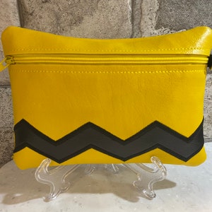 3 Sizes, Charlie Brown Inspired, Zig Zag Stripe 5x7, 6x9, 8x10 Zipper ...