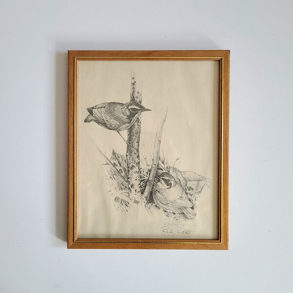 Bird Pencil Drawing - Etsy