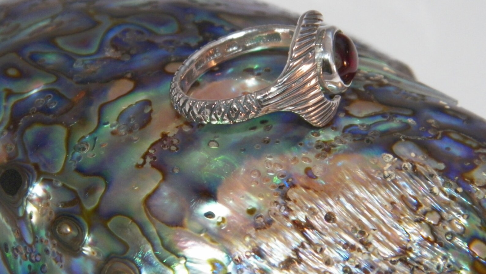 Free Shell Box Bigger Hand Made H2O Just Add Water Mako - Etsy