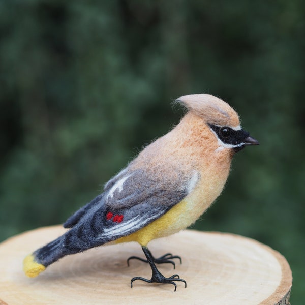 Cedar Waxwing Bird - Etsy