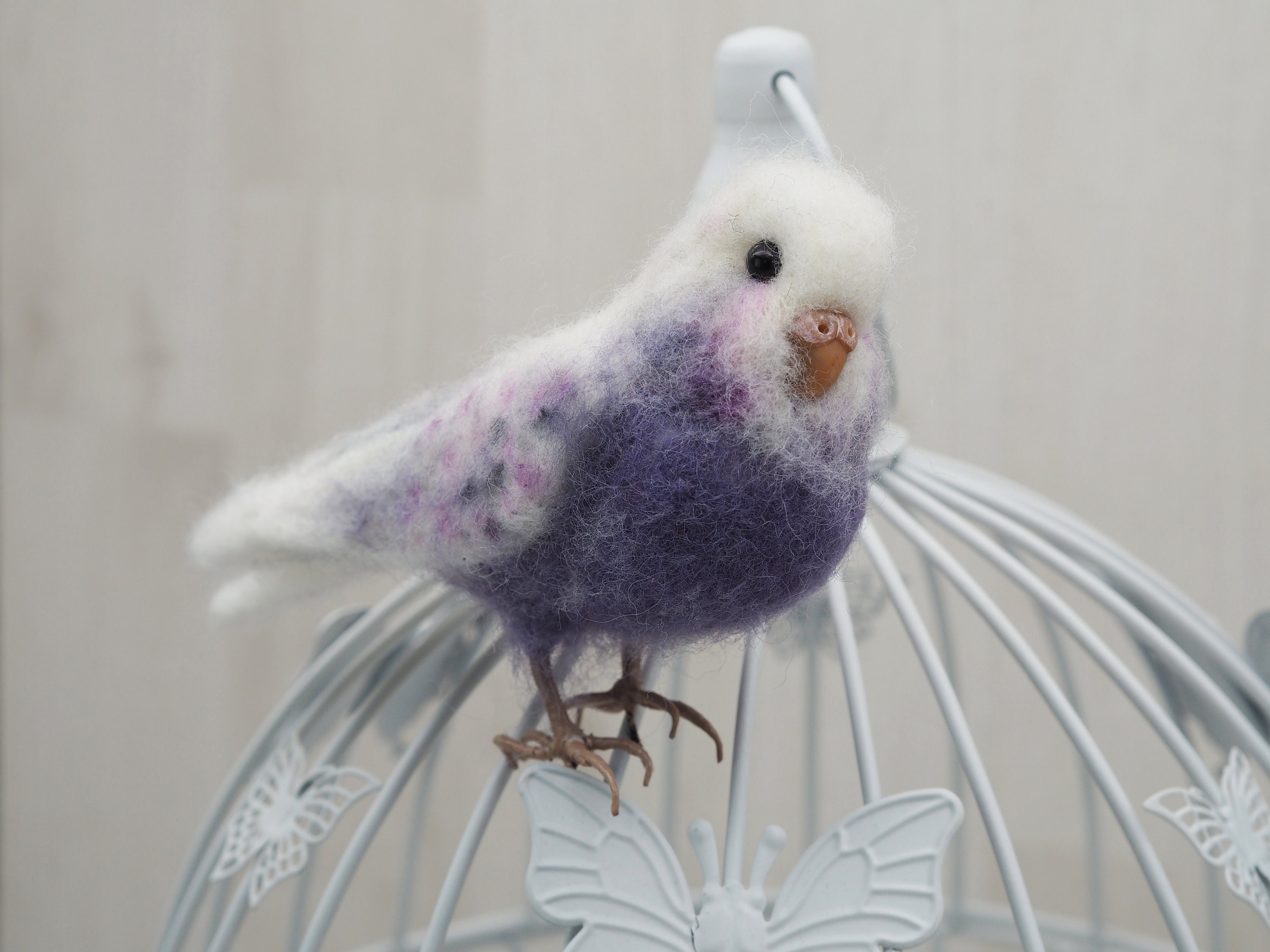 Lavender Parakeet