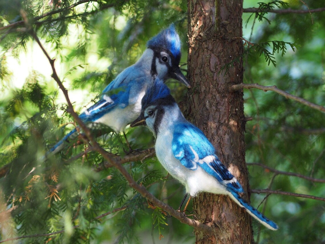 Needle Felted Realistic Blue Jay Bird Blue Jay Art Realistic | Etsy