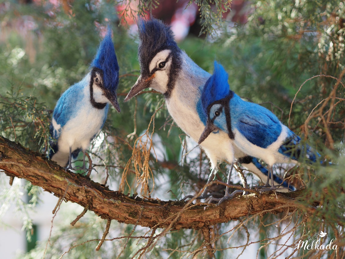 Needle Felted Realistic Blue Jay Bird Blue Jay Art Realistic | Etsy