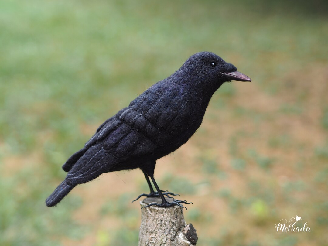 Felted Crow, Bird Gift, Crow Sculpture, Bird Art, Felted Bird, Faux ...