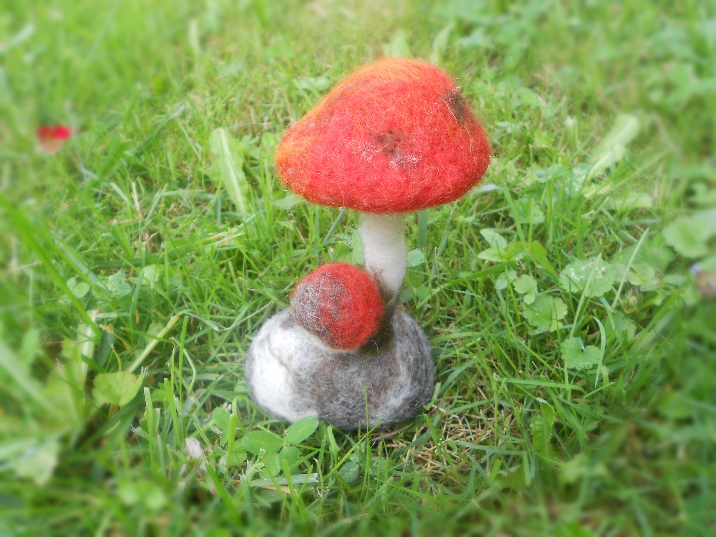 Needle felted Mushrooms Handmade mushroom Mushroom | Etsy