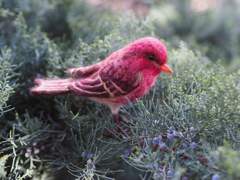 Needle Felted Purple Finch Felted Bird Bird Figurine Faux - Etsy