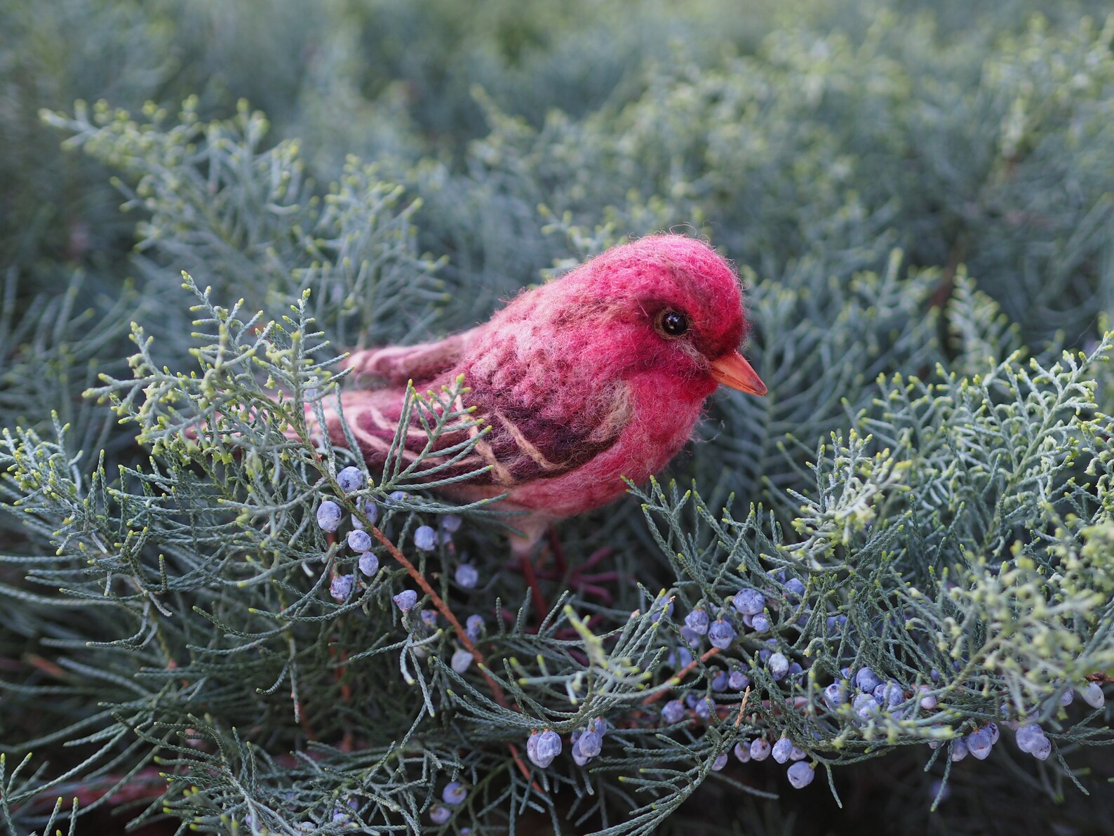 Needle Felted Purple Finch Felted Bird Bird Figurine Faux - Etsy