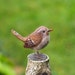 Needle Felted House Wren, Felted Bird, Felted Wren, Faux Taxidermy Bird ...