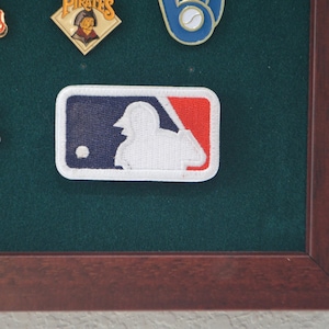 LapelPinDisplayCase - Etsy