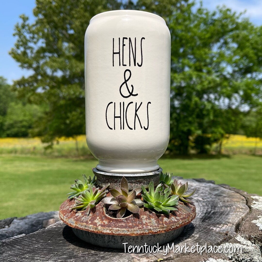 Hens & Chicks Farmhouse Succulent Planter Perfect for Kitchen Pairs ...