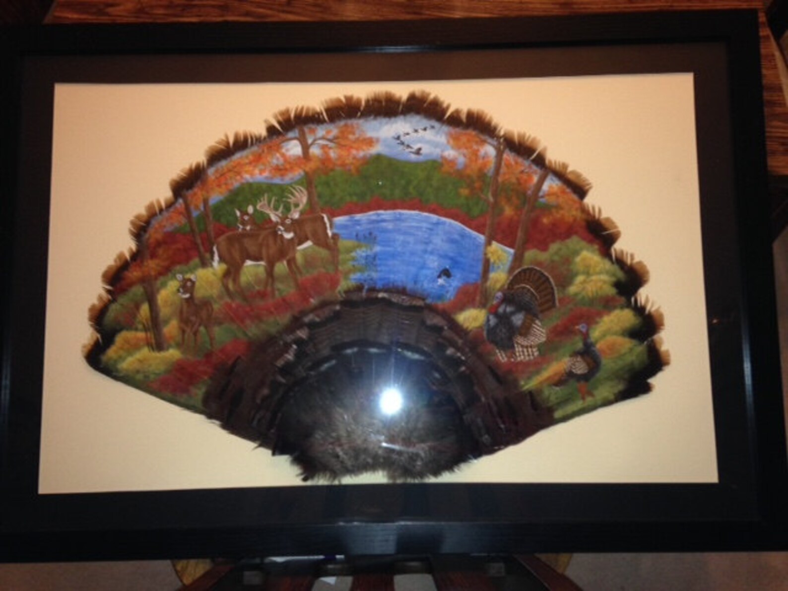 I Very Detailed, Realistic, Beautifully Hand Painted Full Turkey Tail ...