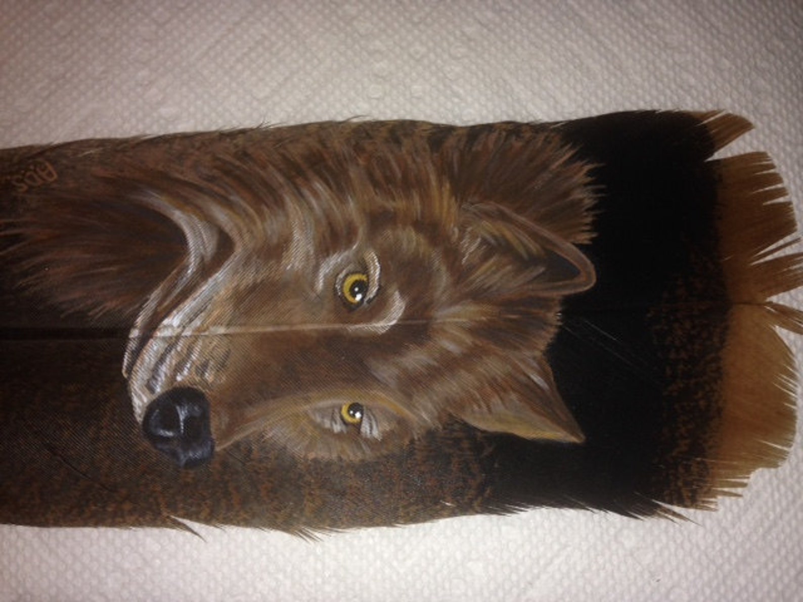 A Beautiful and Realistic Coyote Hand Painted on a Wild Eastern Turkey ...