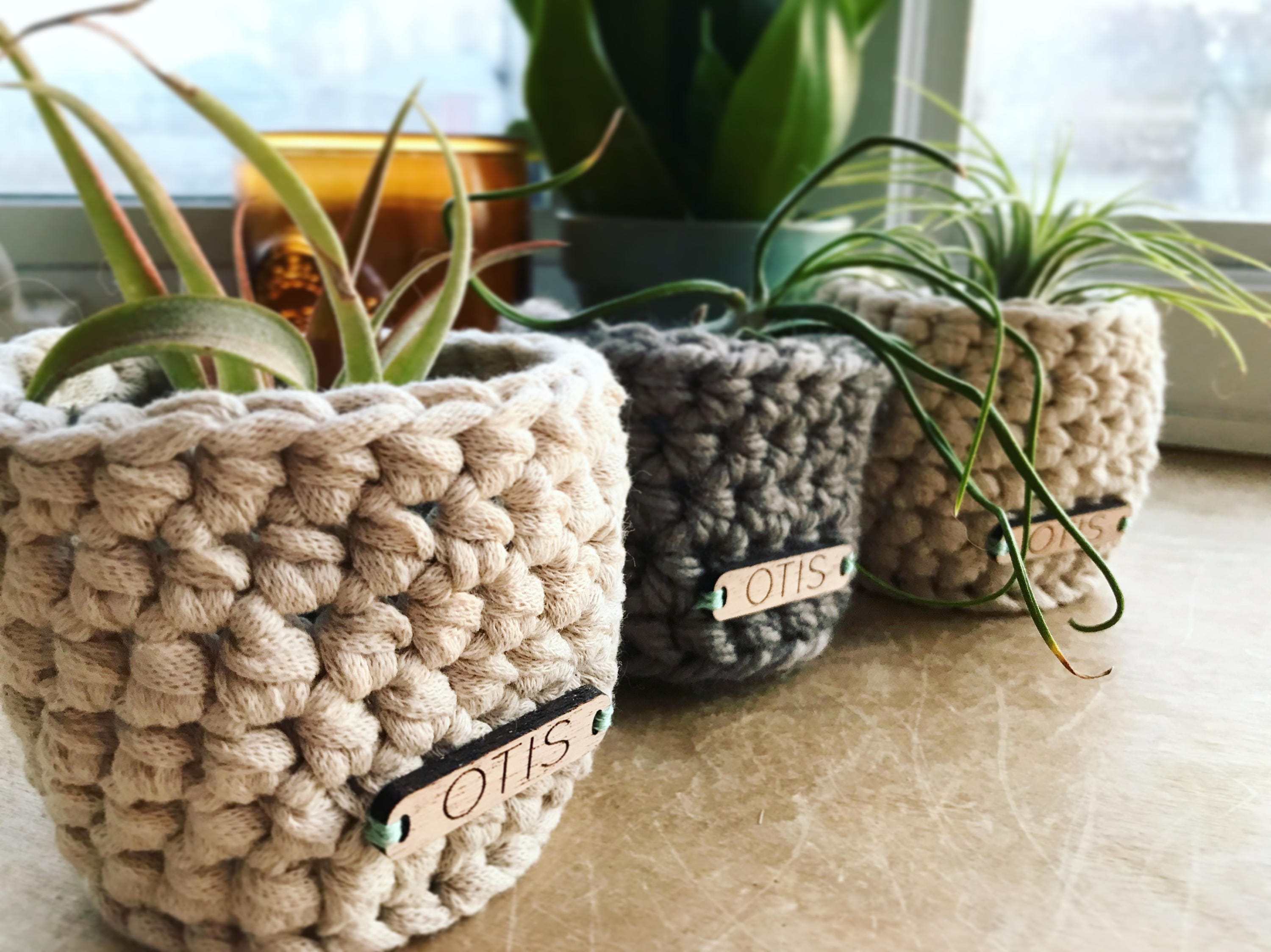 Crocheted Planter Cozy / Airplants, Succulents, Catch-all, Basket ...