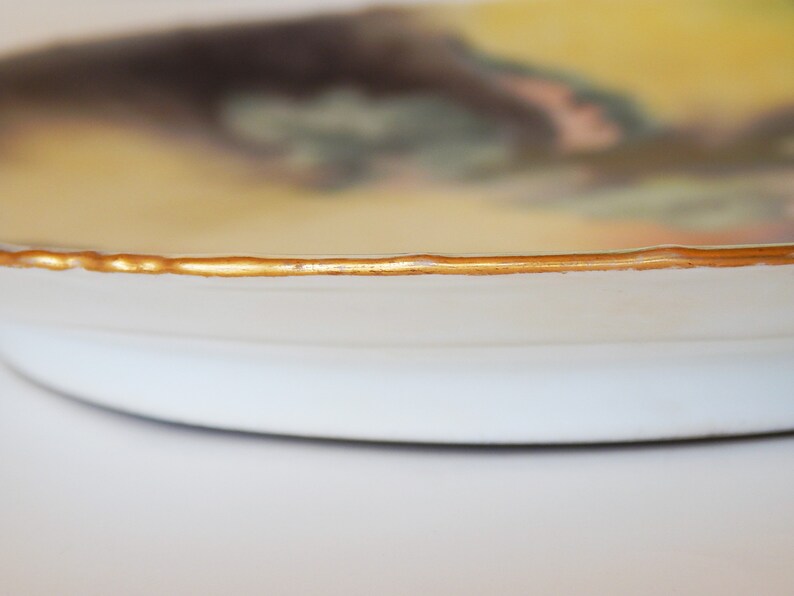 Rosenthal R/C Versailles Bavaria 7 3/4 Inch Blackberry Plate - Etsy