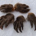 One Authentic Beaver Foot, Fur,bones - Etsy