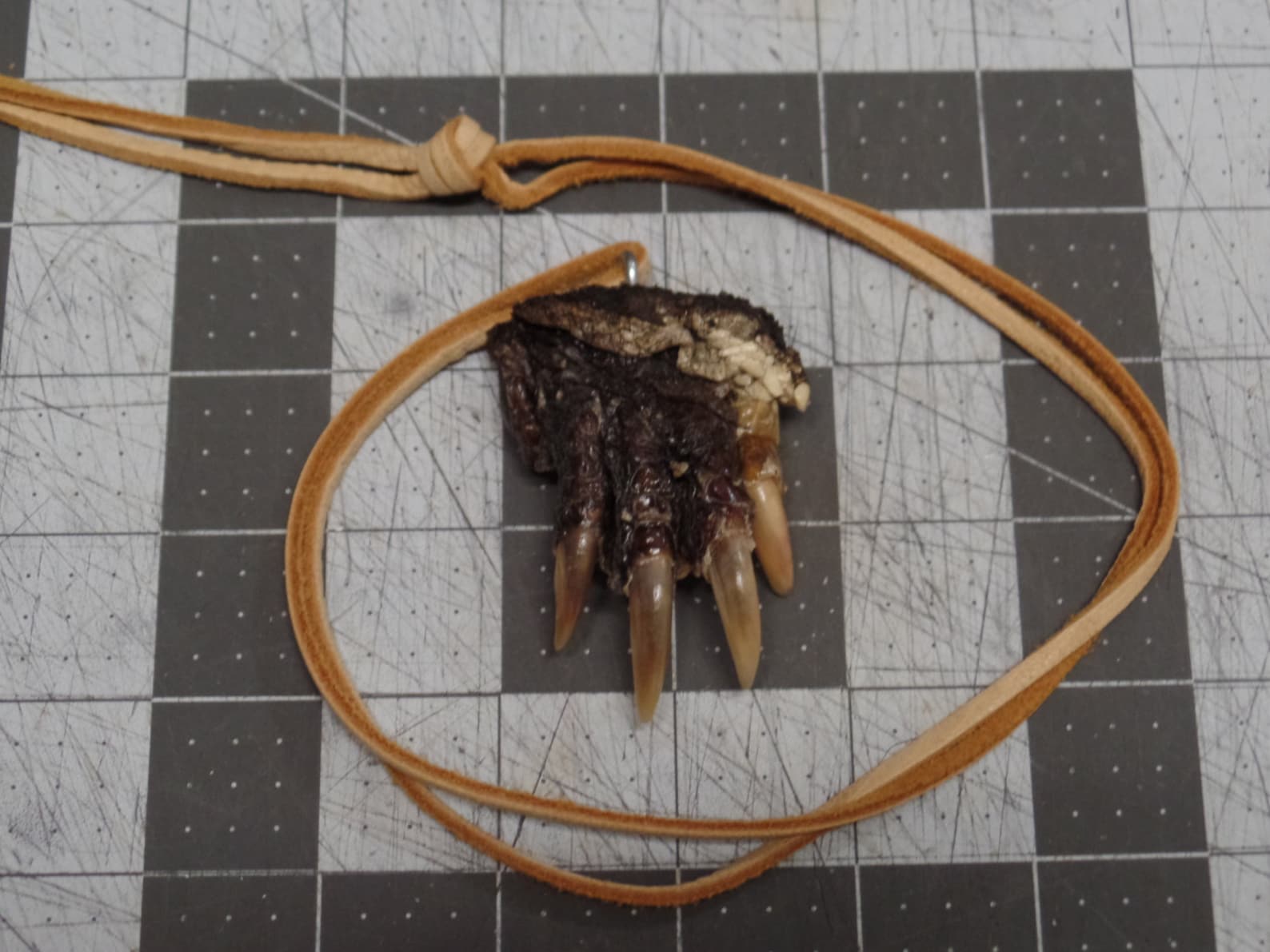 Snapping Turtle Foot Necklace - Etsy