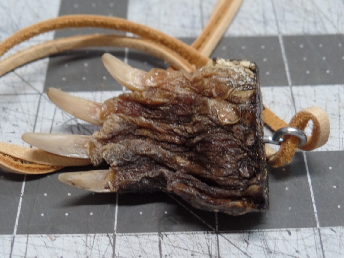 Snapping Turtle Foot Necklace - Etsy