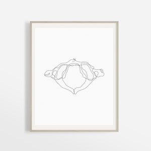 Abstract Atlas Bone Illustration, One Line Spine Drawing, Simple ...
