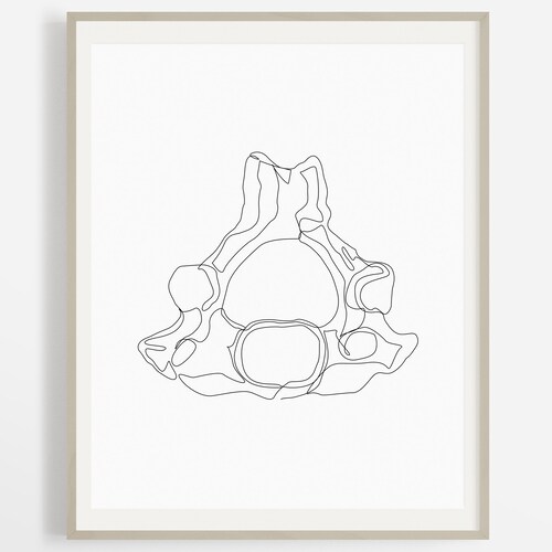 Cervical Vertebrae Line Drawing Abstract Human Anatomy Bone | Etsy