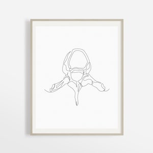 Abstract Vertebra One Line Illustration, Minimalist Anatomy Poster ...