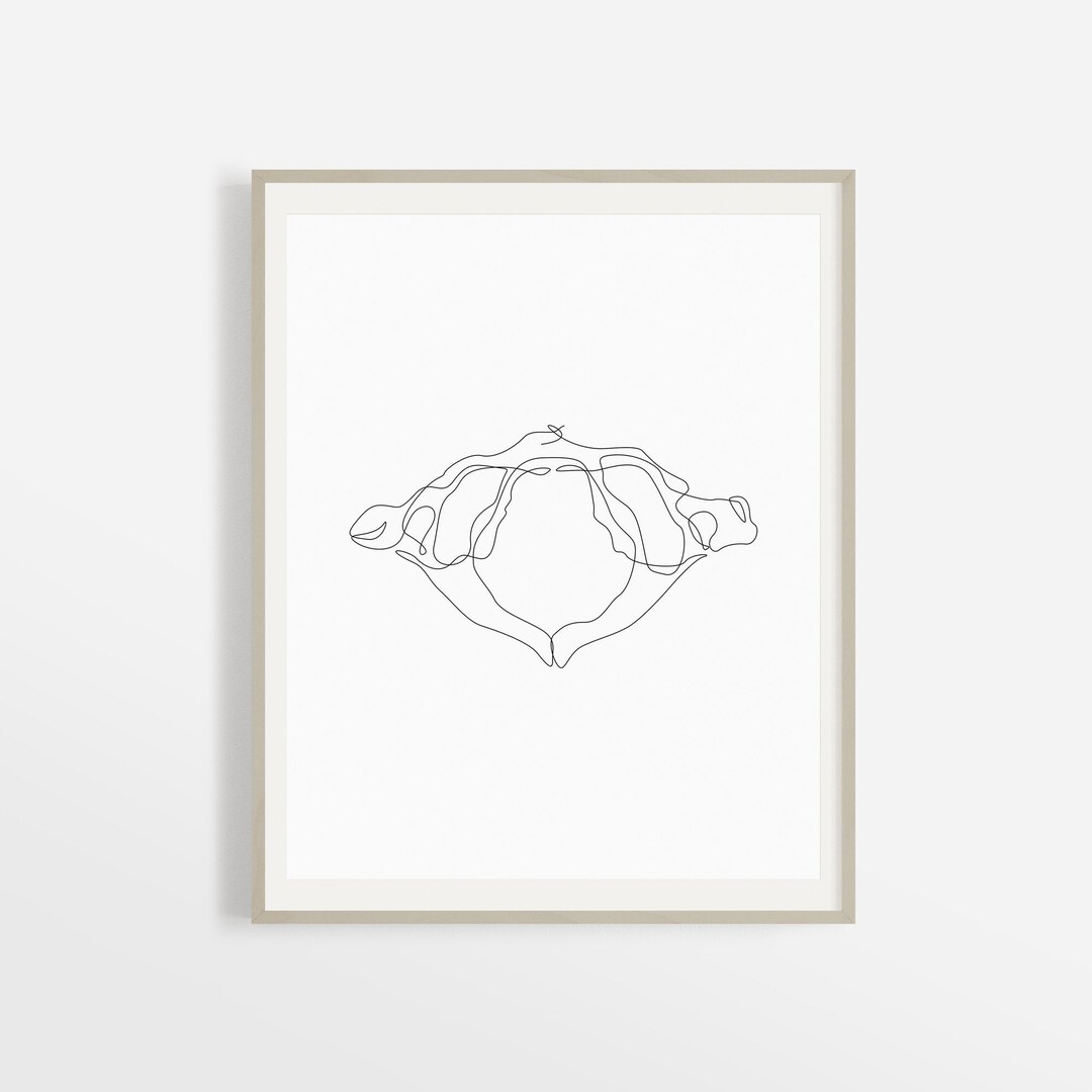 Abstract Atlas Bone Illustration, One Line Spine Drawing, Simple ...