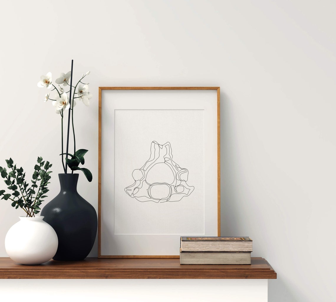 Abstract Medical Art Set of 4 Minimalist Chiropractic Art | Etsy