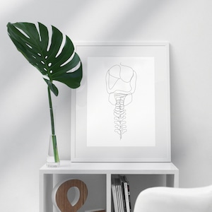 Chiropractic Art Print, Skull Line Art Printable Wall Art, Chiropractor ...