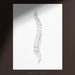 Abstract Spine Art Print One Line Spinal Cord Drawing - Etsy