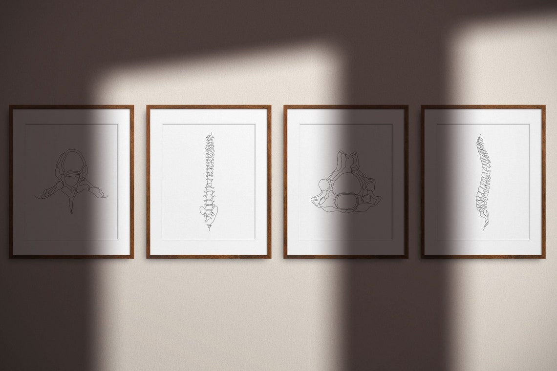 Abstract Medical Art Set of 4 Minimalist Chiropractic Art | Etsy