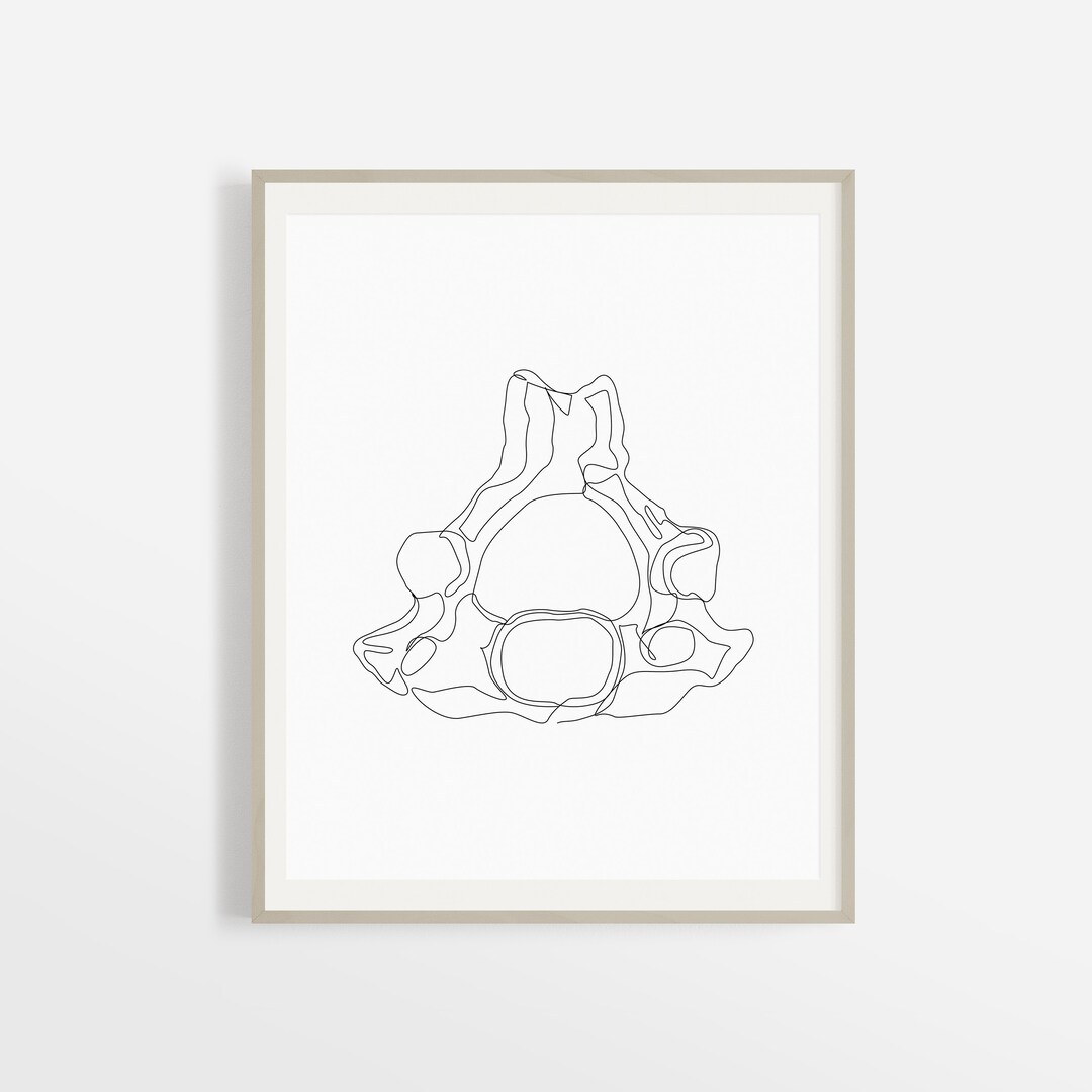 Cervical Vertebrae Line Drawing, Abstract Human Anatomy Bone ...