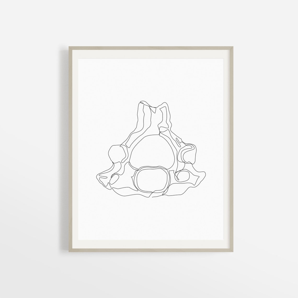 Cervical Vertebrae Line Drawing, Abstract Human Anatomy Bone ...