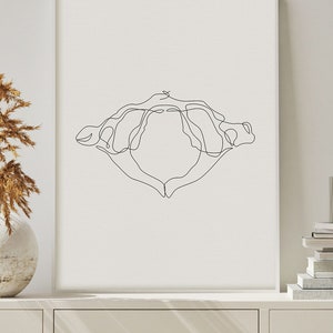Abstract Atlas Bone Illustration, One Line Spine Drawing, Simple ...