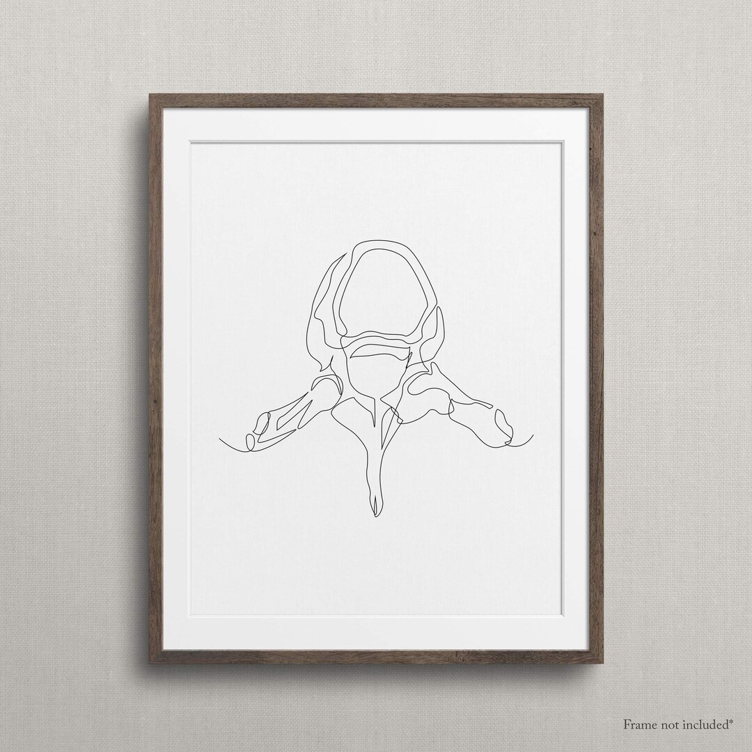 Abstract Vertebra Illustration, Bone Drawing, Minimalist One Line ...
