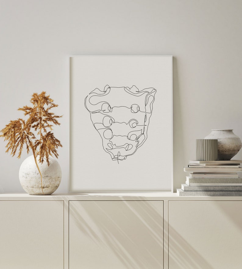 Abstract Sacrum Bone Illustration, Minimalist Single Line Anatomy ...