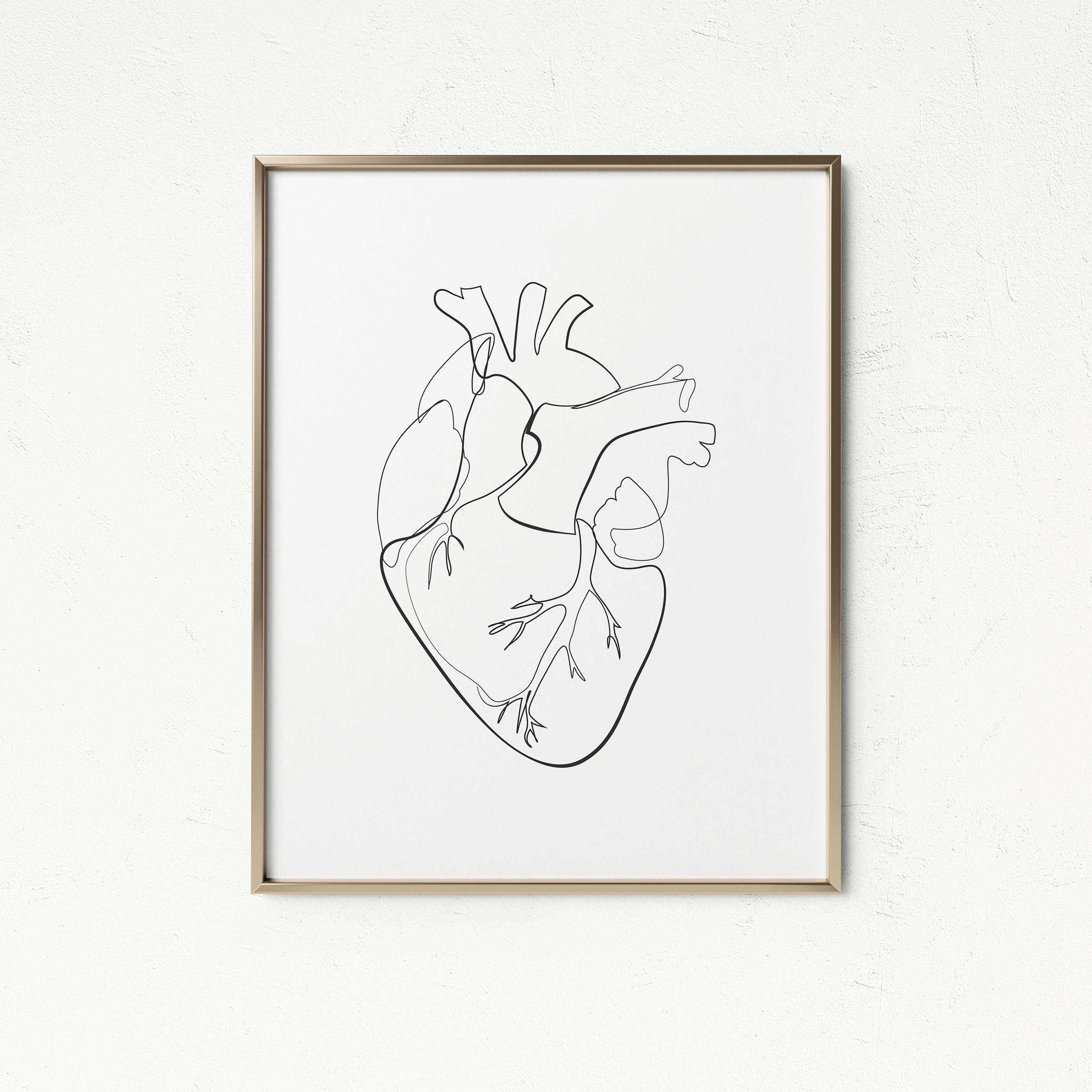 Anatomical Heart Drawing Illustration Abstract Health | Etsy