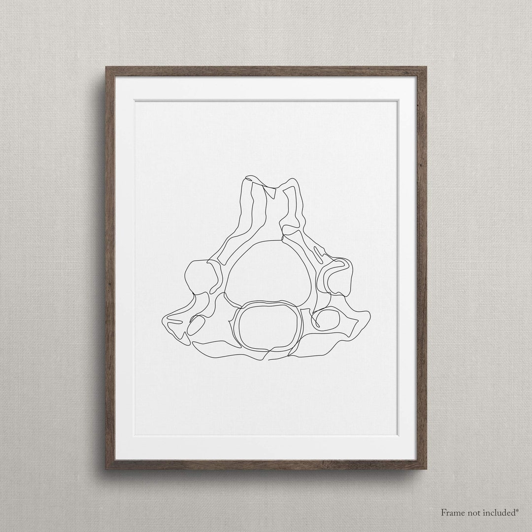 Vertebra Illustration, One Line Bone, Minimalist Fine Line Anatomy ...