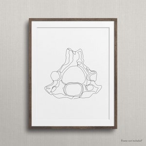 Vertebra Illustration, One Line Bone, Minimalist Fine Line Anatomy ...