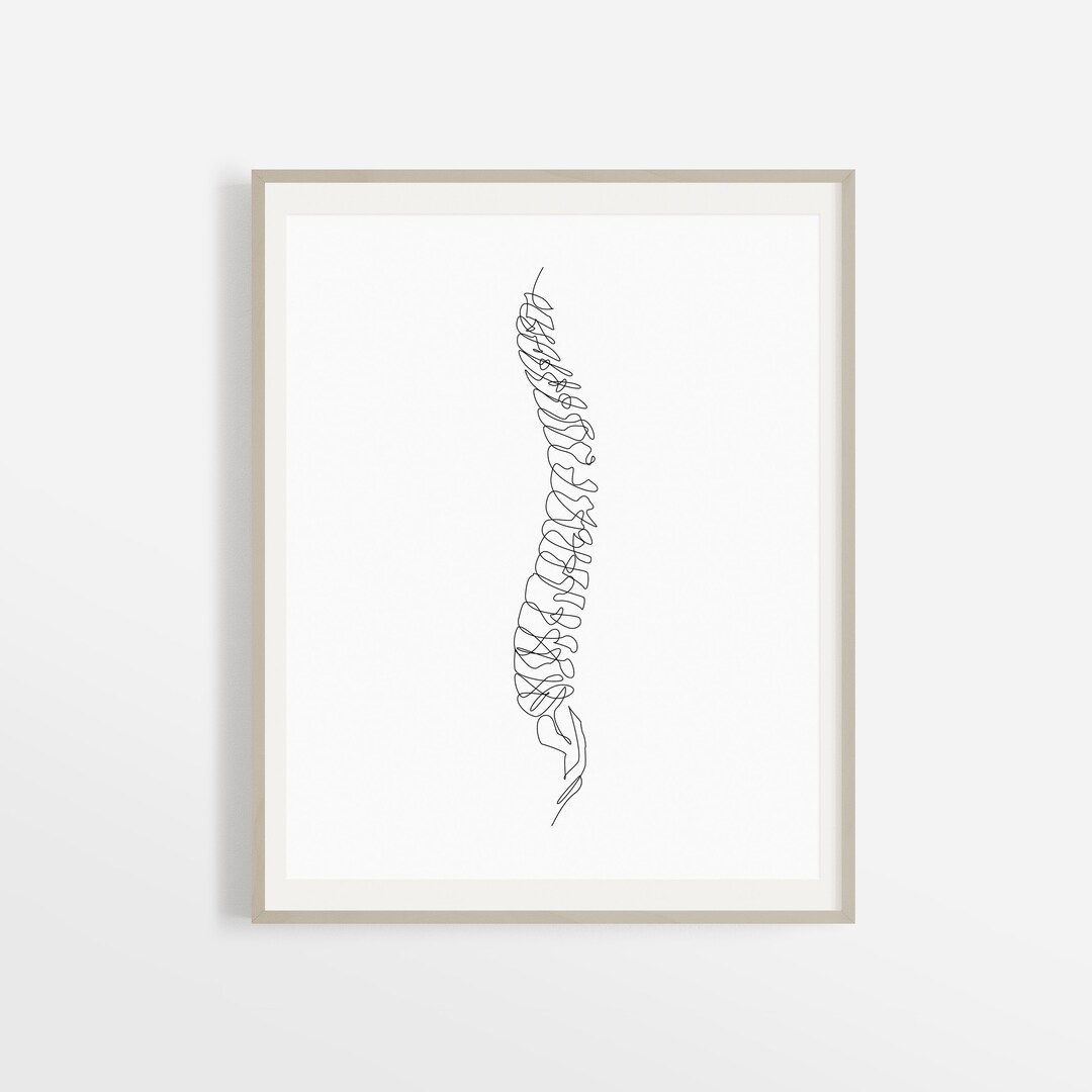 Spine Vertebrae Abstract Drawing, Chiropractic Art Print, Minimal ...