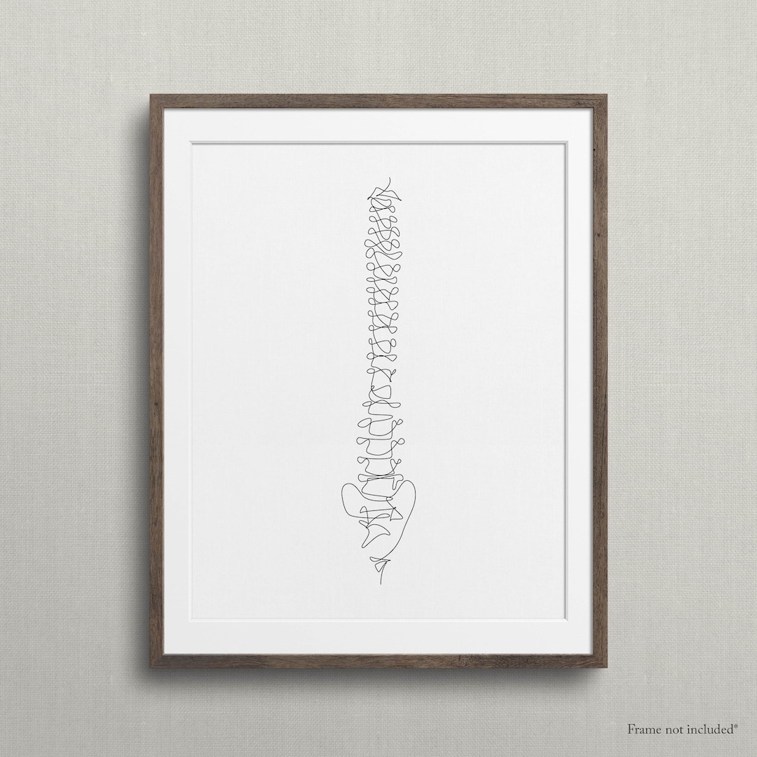 Abstract Spinal Cord Drawing Print, Minimalist Medical Wall Art, Simple ...