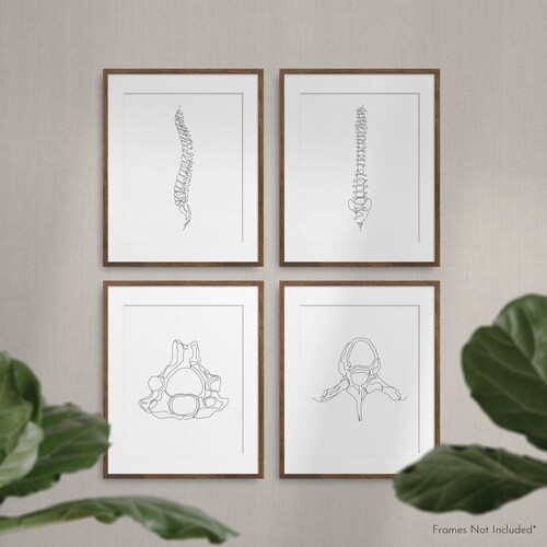 Chiropractic Office Decor Anatomy Art Set of 10 Prints - Etsy