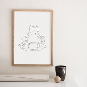 Cervical Vertebrae Line Drawing, Abstract Human Anatomy Bone ...