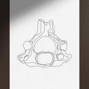 Vertebra Illustration, One Line Bone, Minimalist Fine Line Anatomy ...