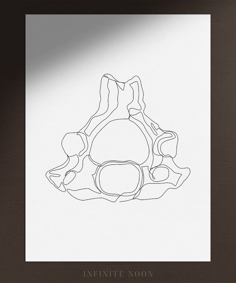 Vertebra Illustration One Line Bone Minimalist Fine Line | Etsy
