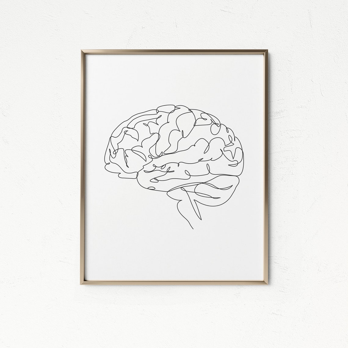 Anatomical Brain Drawing Print Anatomy Brain Printable | Etsy