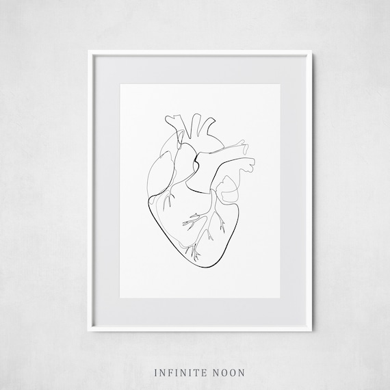 Healthy Human Heart Drawing