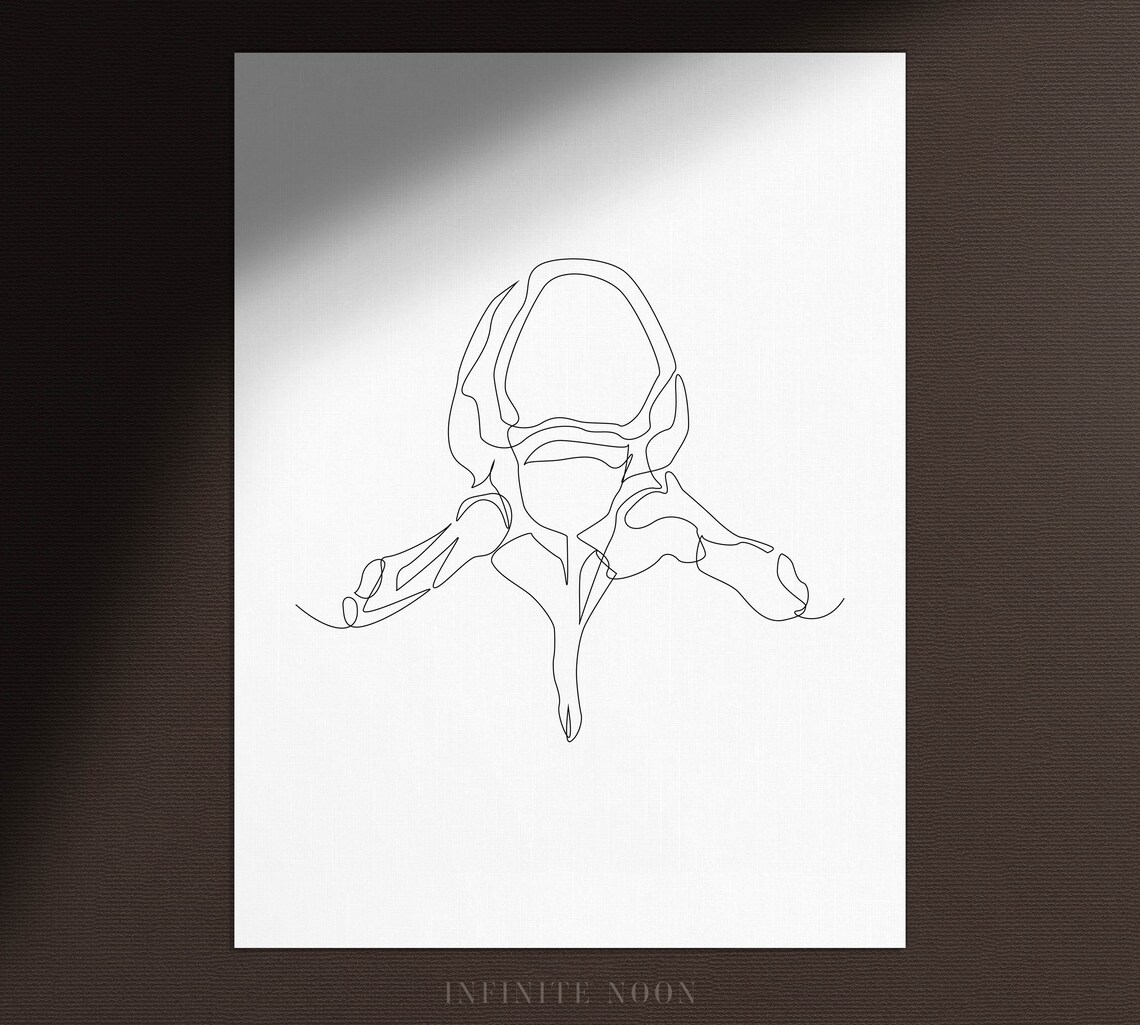 Abstract Medical Art Set of 4 Minimalist Chiropractic Art | Etsy