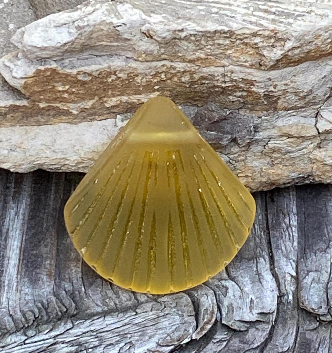 1 Large Desert Gold Yellow Side Tip Drilled Clam Shell Sea Glass ...