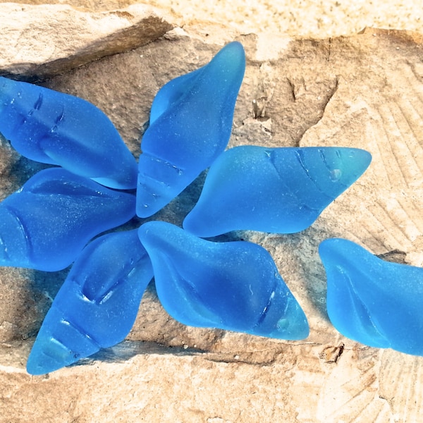 Drilled Sea Shells - Etsy